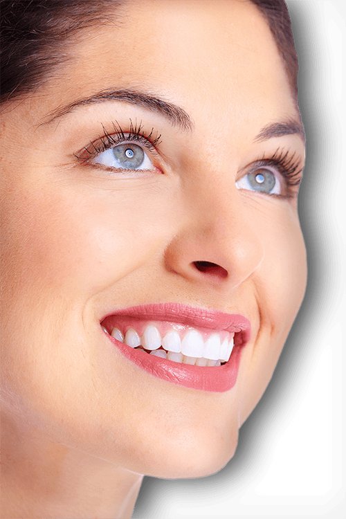 About Folsom Dentist Dr. Roth - Background and Dental Training